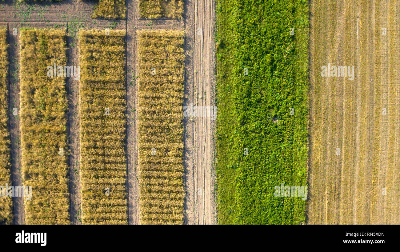 Top view on flat geometric areas of an agricultural field Stock Photo ...