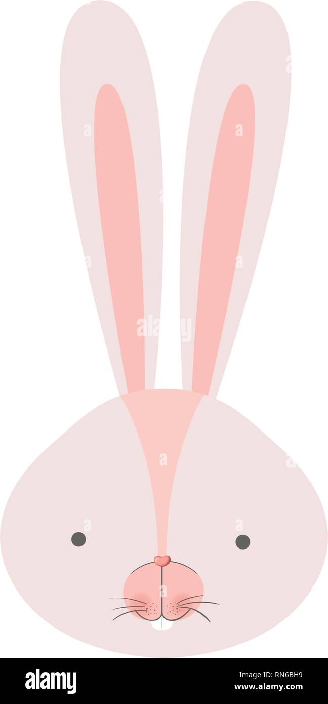 Beautiful portrait rabbits face hi-res stock photography and images - Alamy