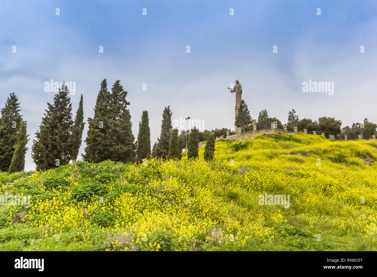 Yellow flowers rapeseed in hi-res stock photography and images - Alamy