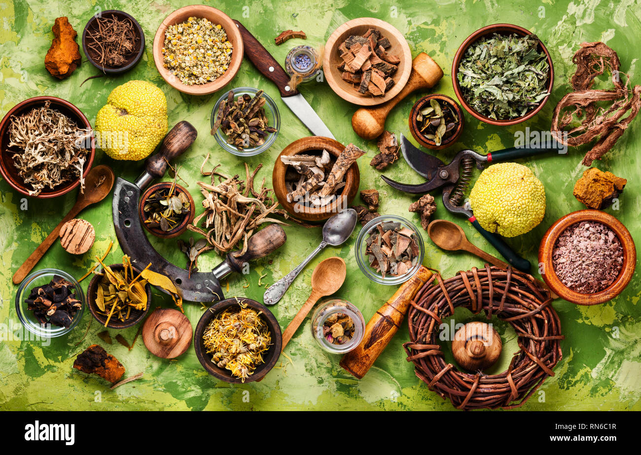 Big set of healing herbs, plants and medicinal roots.Herbal medicine ...