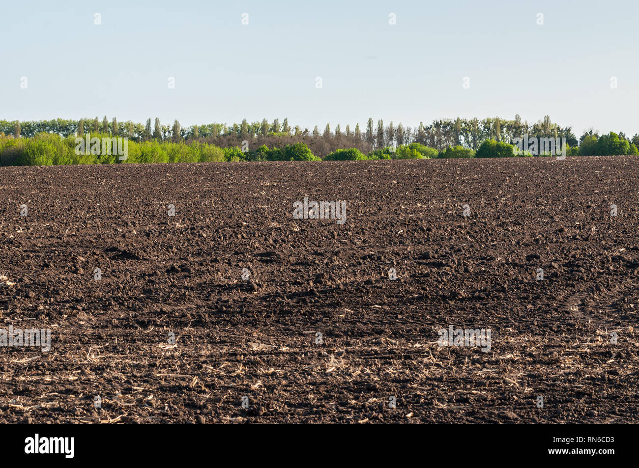 Black chernozemic soil hi-res stock photography and images - Alamy