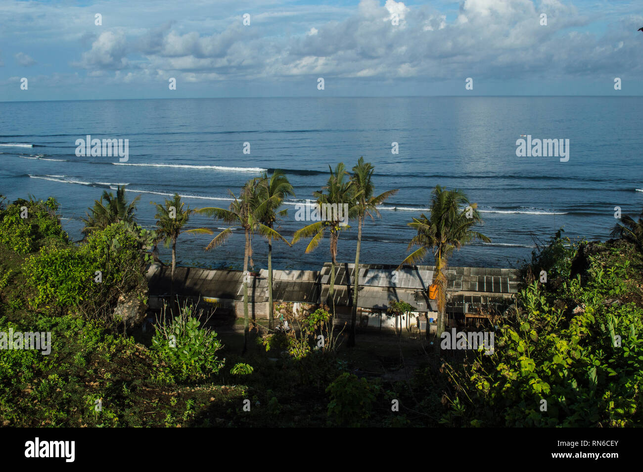 amazing beautiful Bali landscape with palms, green trees, blue sky and ...