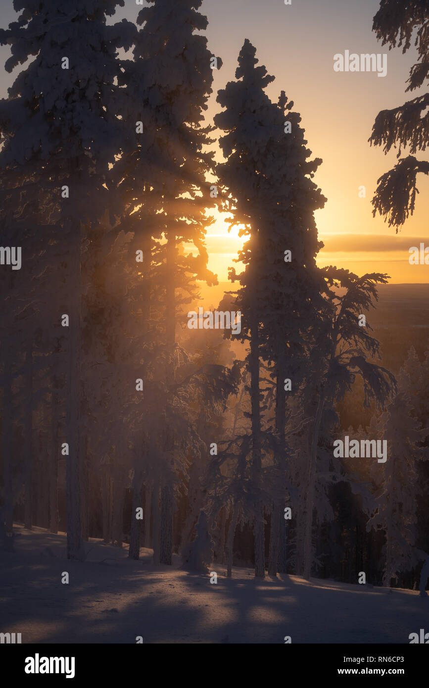 Boreal mountain resort hi-res stock photography and images - Alamy