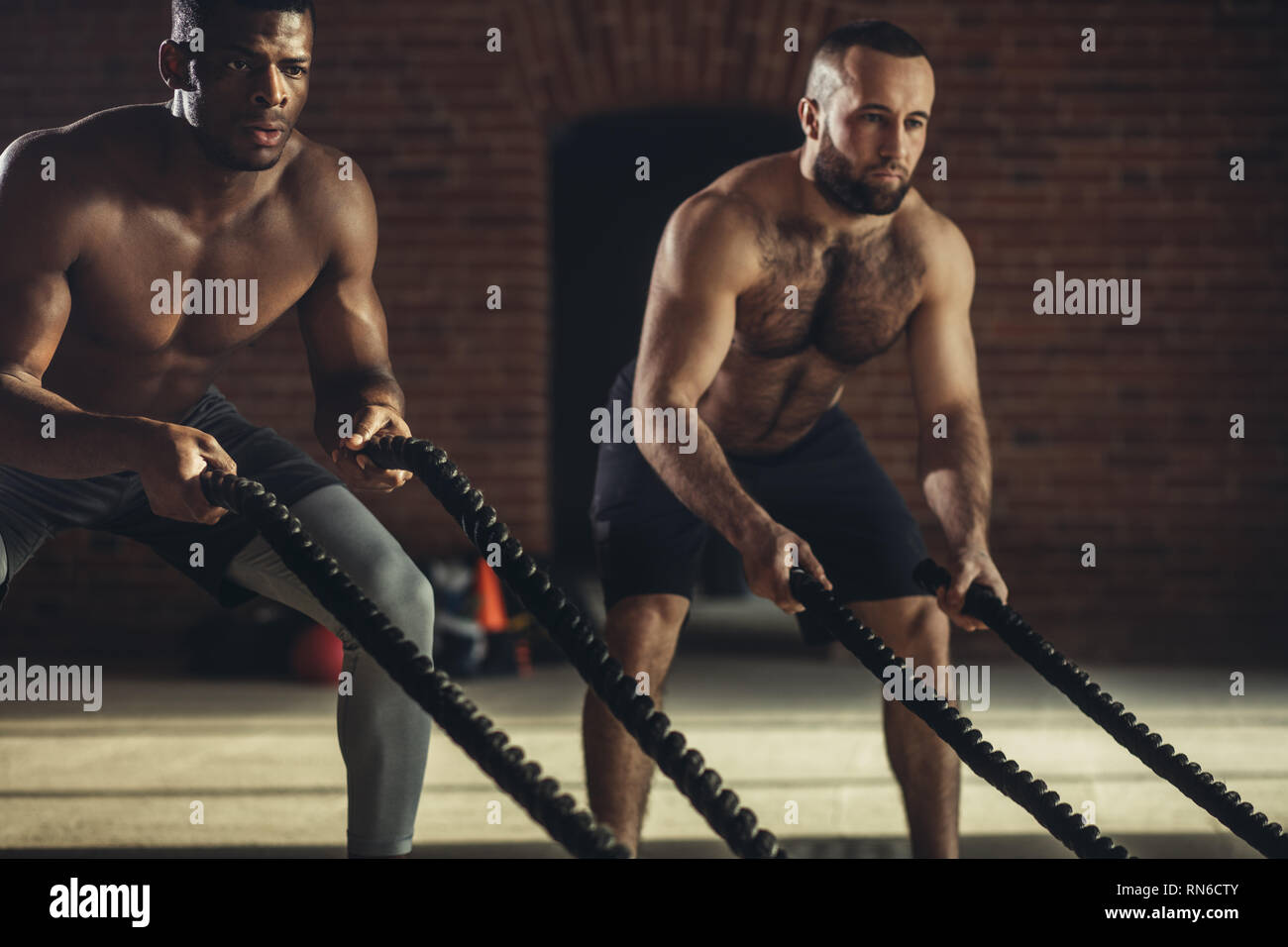 Two muscular multiracial athletes working out with battling ropes in ...