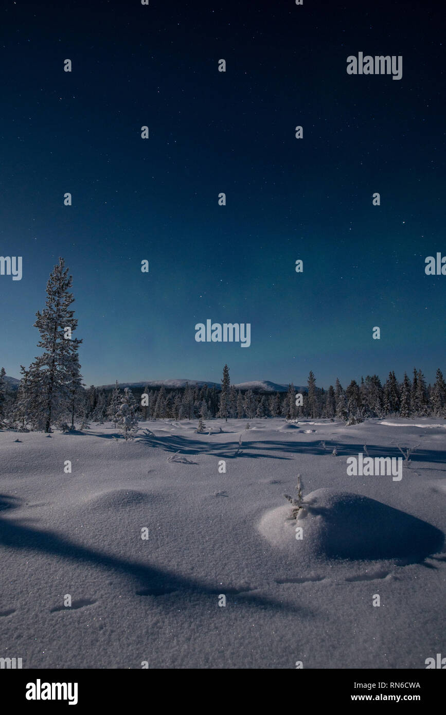 Faint background hi-res stock photography and images - Alamy