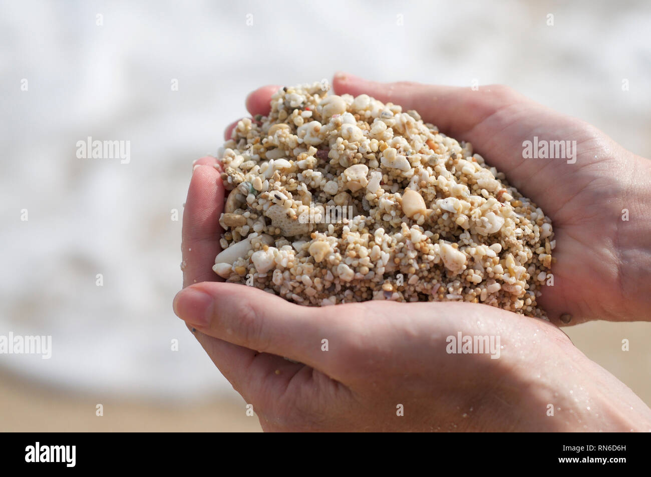 Woman's hands holding sand in front of a blurred wave background Stock ...