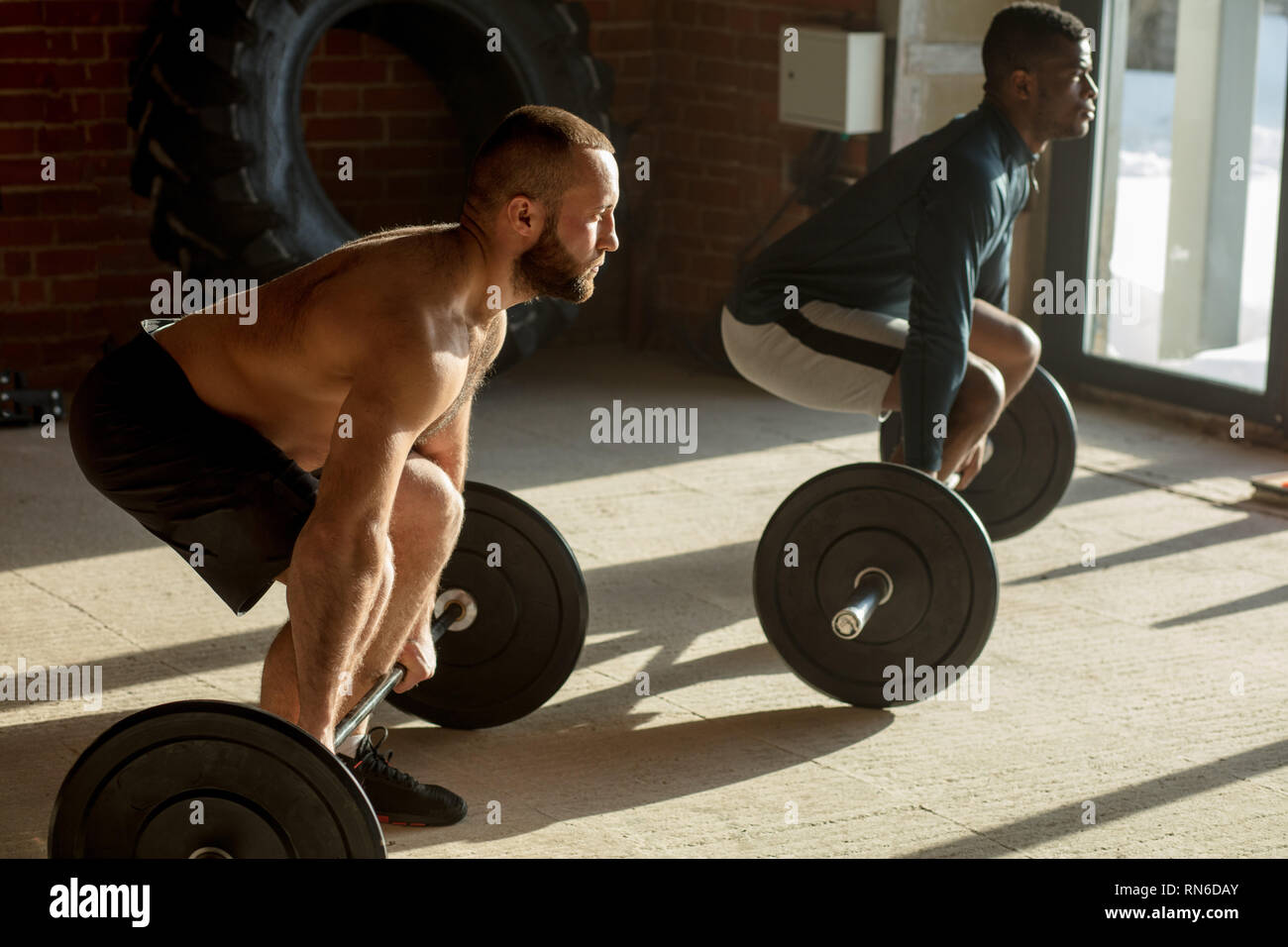 Two handsome multiethnic weightlifters exercising in gym, doing squats ...