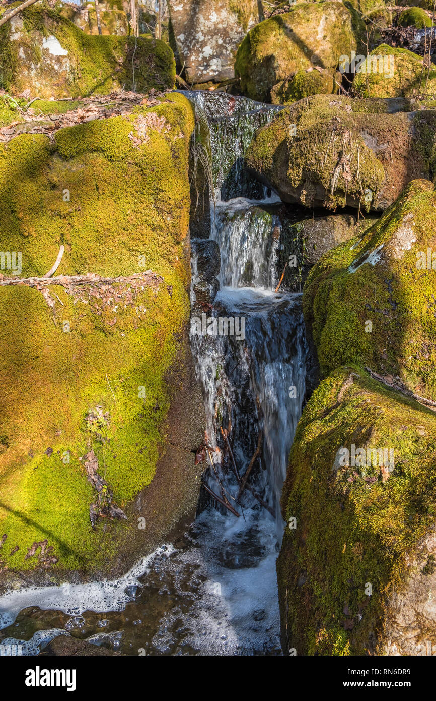 Bubble moss rock hi-res stock photography and images - Alamy