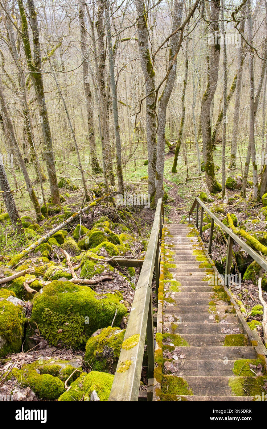 Long stair hi-res stock photography and images - Alamy