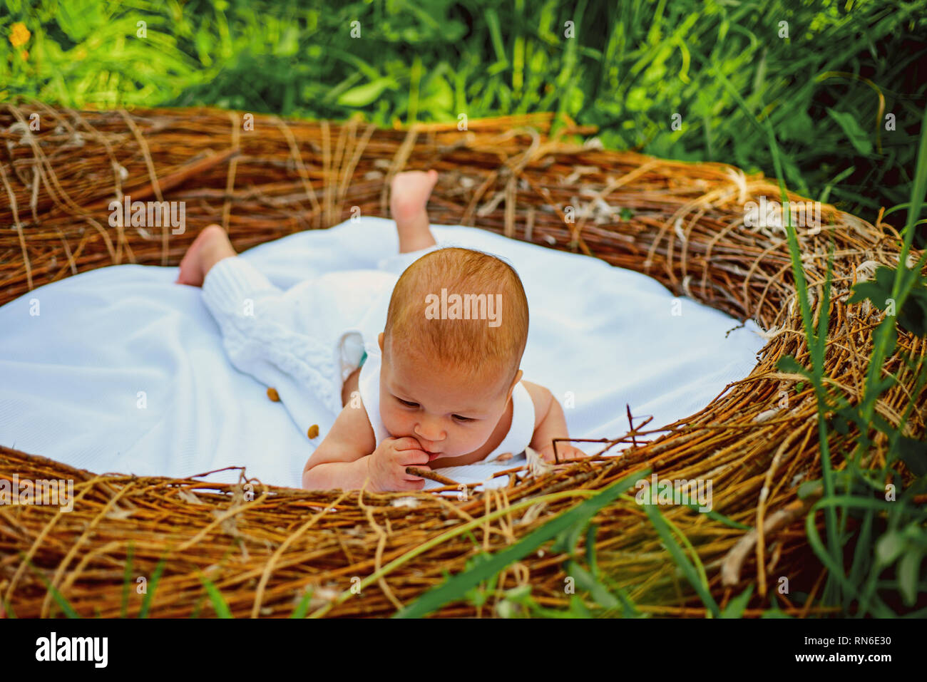 I am curious. Newborn baby girl or boy. Newborn baby care. Health care ...