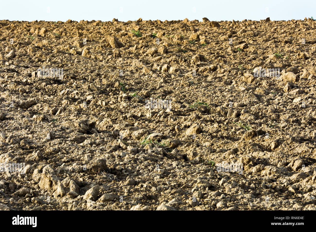 Background of dry plowed soil Stock Photo - Alamy