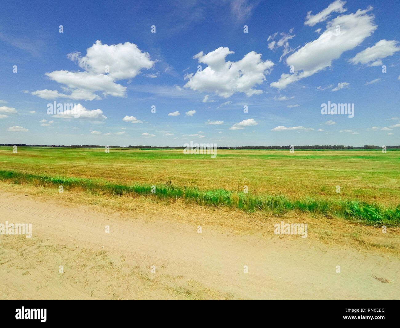Beautiful bright landscape of the summer field with green grass and ...