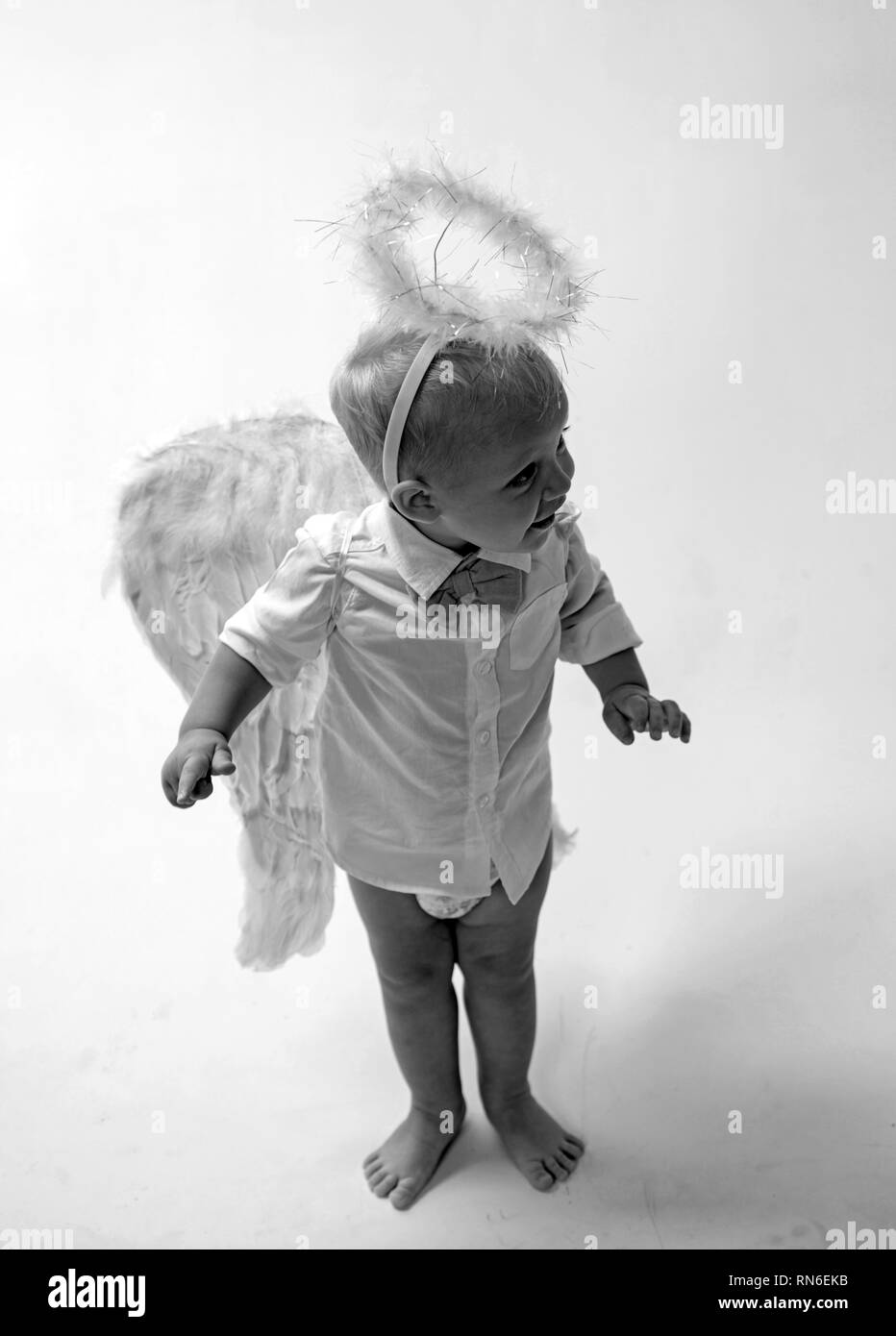 Taking on a holiday atmosphere. Baby angel. Adorable little angel boy ...