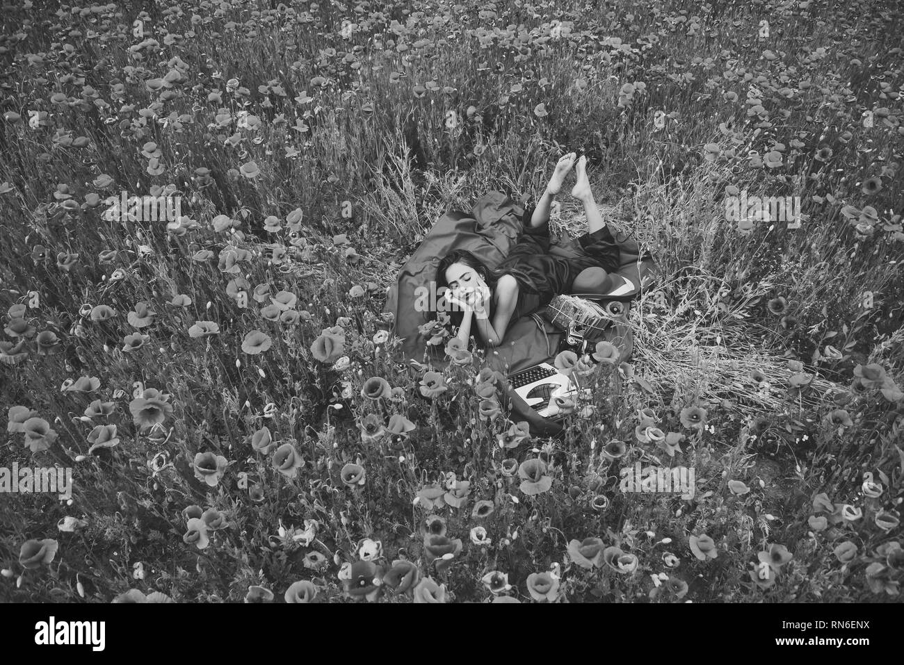 Opium poppy plant Black and White Stock Photos & Images - Alamy