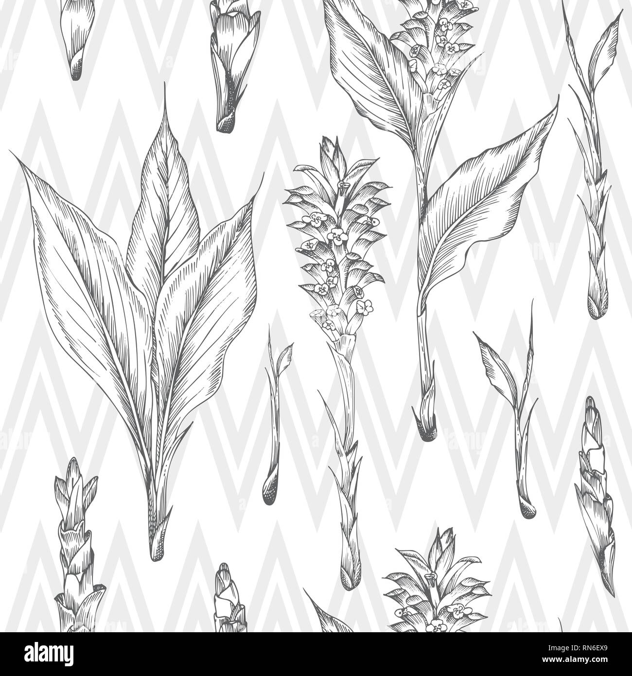 Turmeric texture Stock Vector Images - Alamy