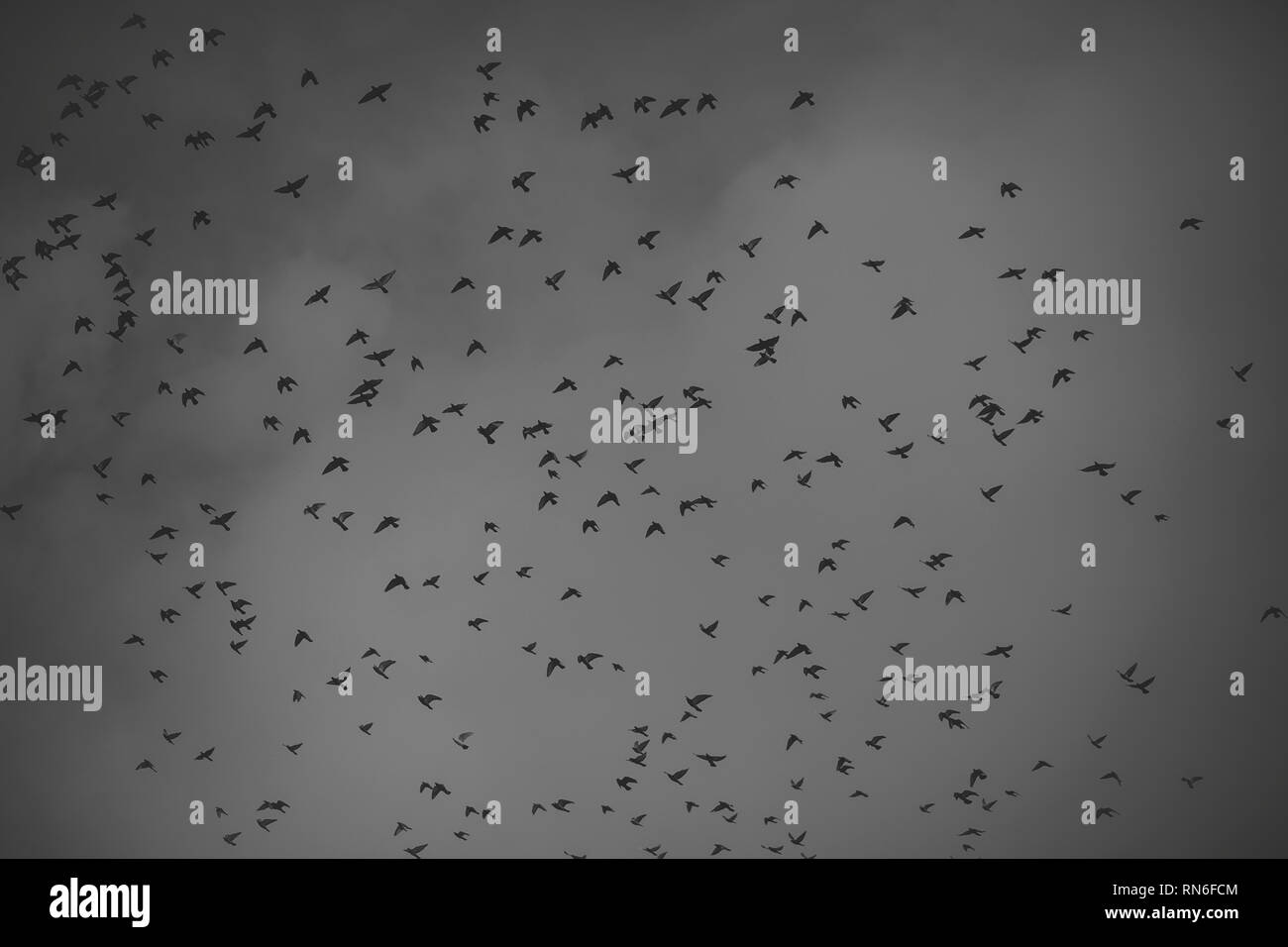 Sky grey clouds winter day Black and White Stock Photos & Images - Alamy