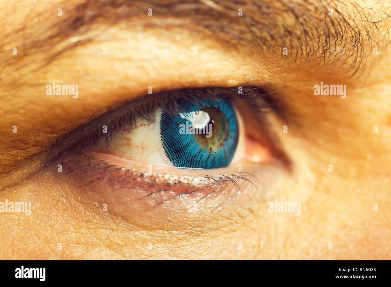 male eye with blue lens Stock Photo - Alamy