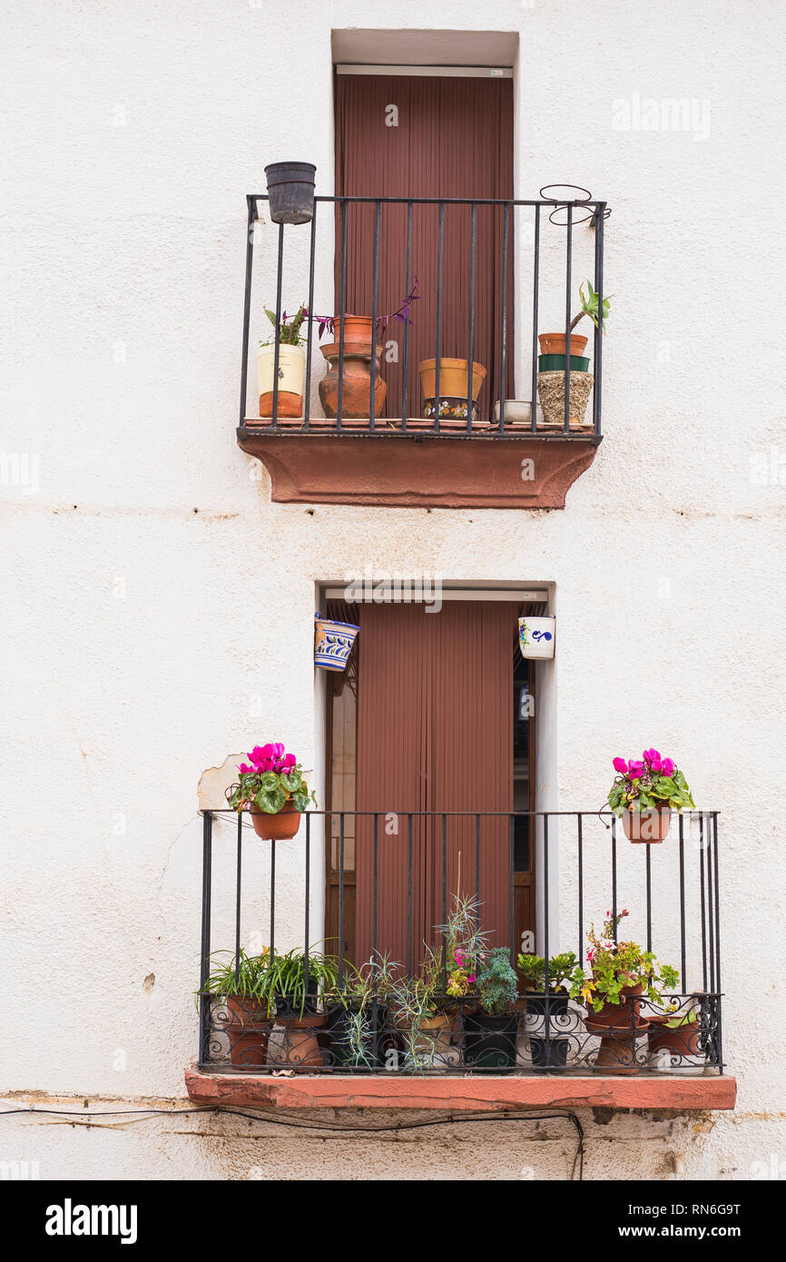 Classic balconies with flowers and green plants Stock Photo - Alamy
