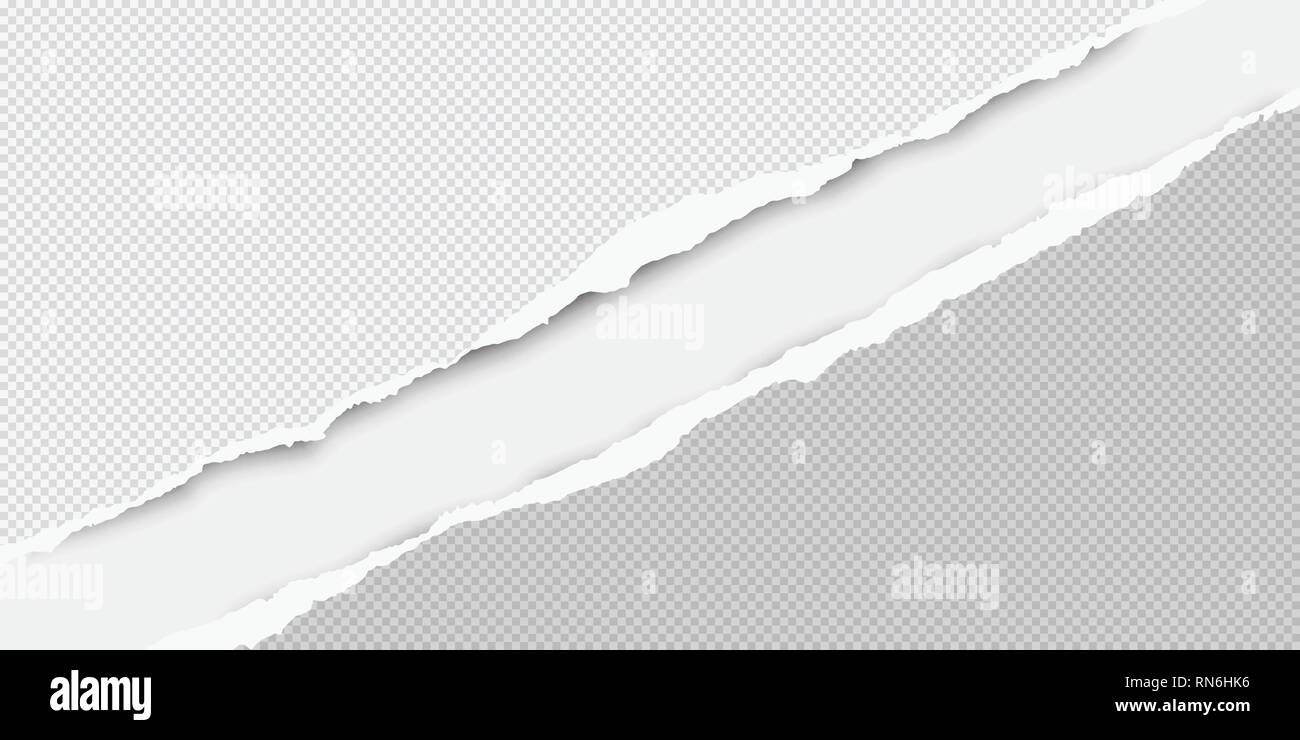 Diagonal torn white squared paper strips for text or message are on ...