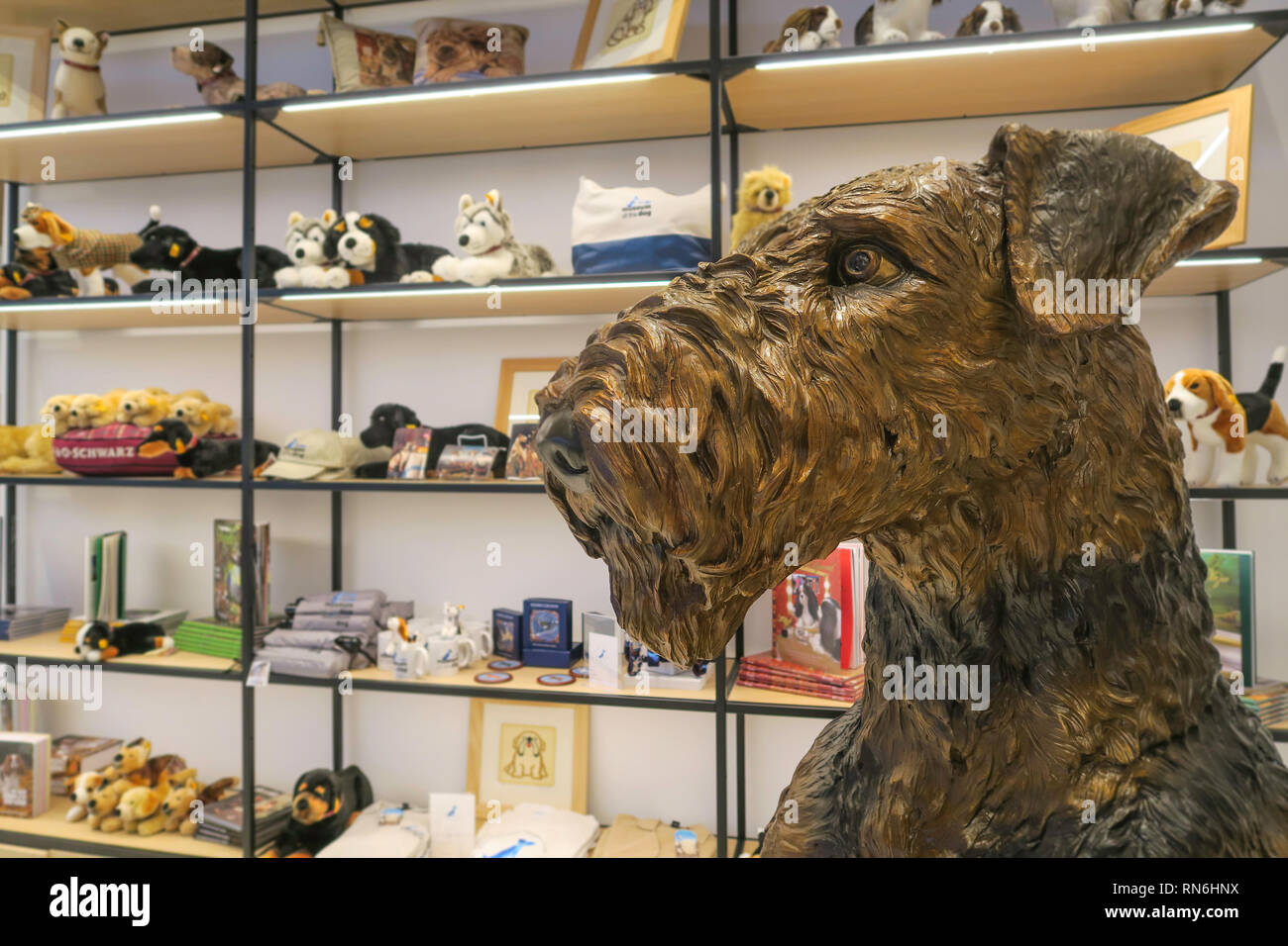 AKC Museum of the Dog, New York City, USA Stock Photo - Alamy