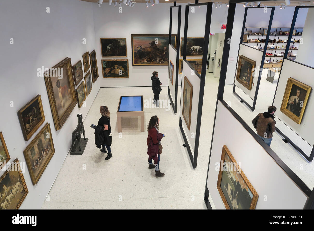 AKC Museum of the Dog, New York City, USA Stock Photo - Alamy