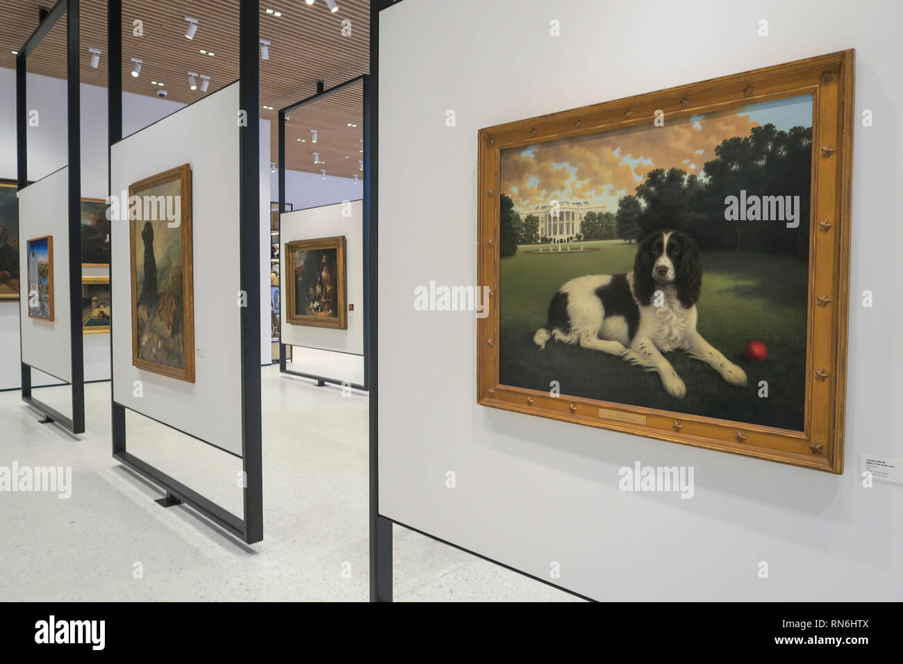 AKC Museum of the Dog, New York City, USA Stock Photo - Alamy