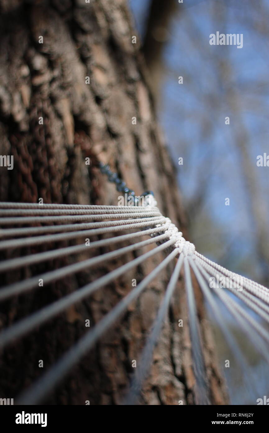 Rope swing hanging from tree hi-res stock photography and images - Alamy