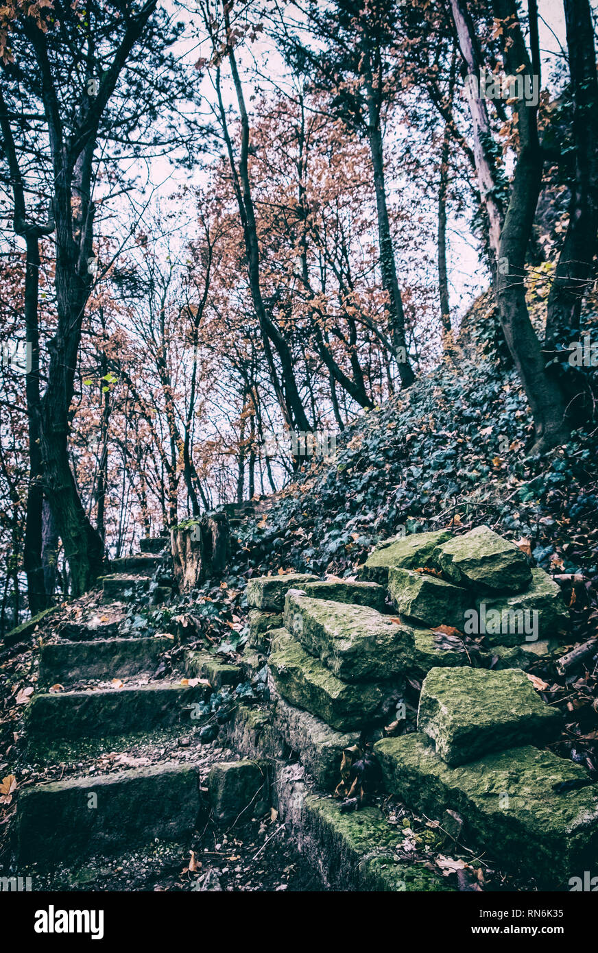 Broken stoned footpath in the autumn forest, Nitra, Slovak republic ...