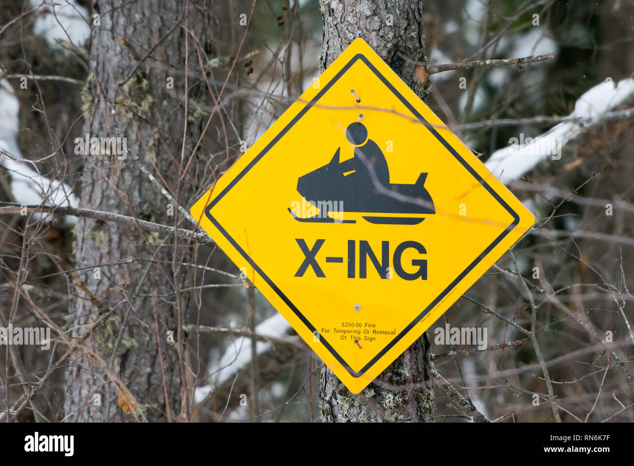 Snowmobile traffic hi-res stock photography and images - Alamy