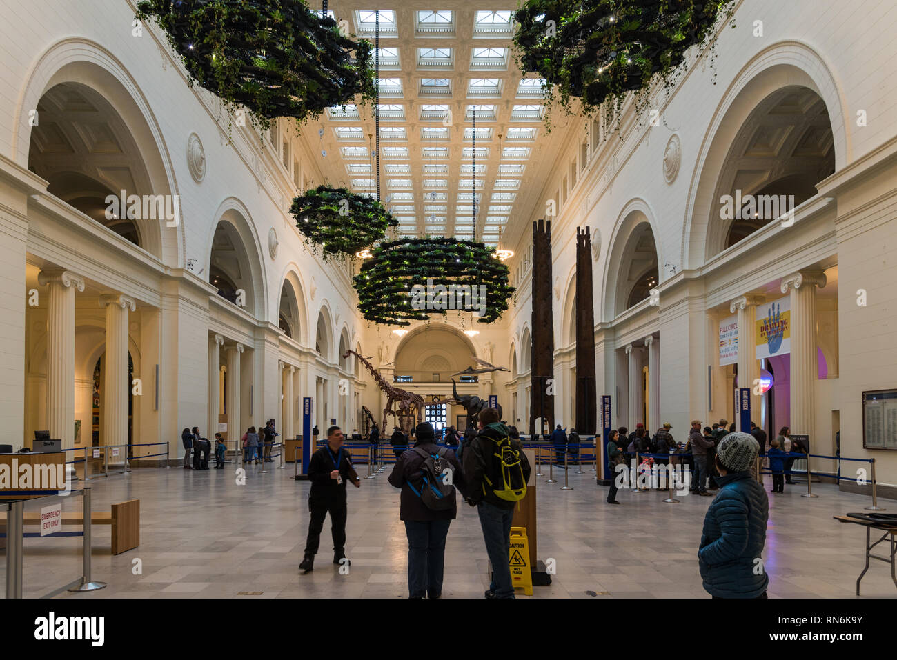 The Stanley Field Hall, at the Field Museum, Chicago, Illinois, USA ...