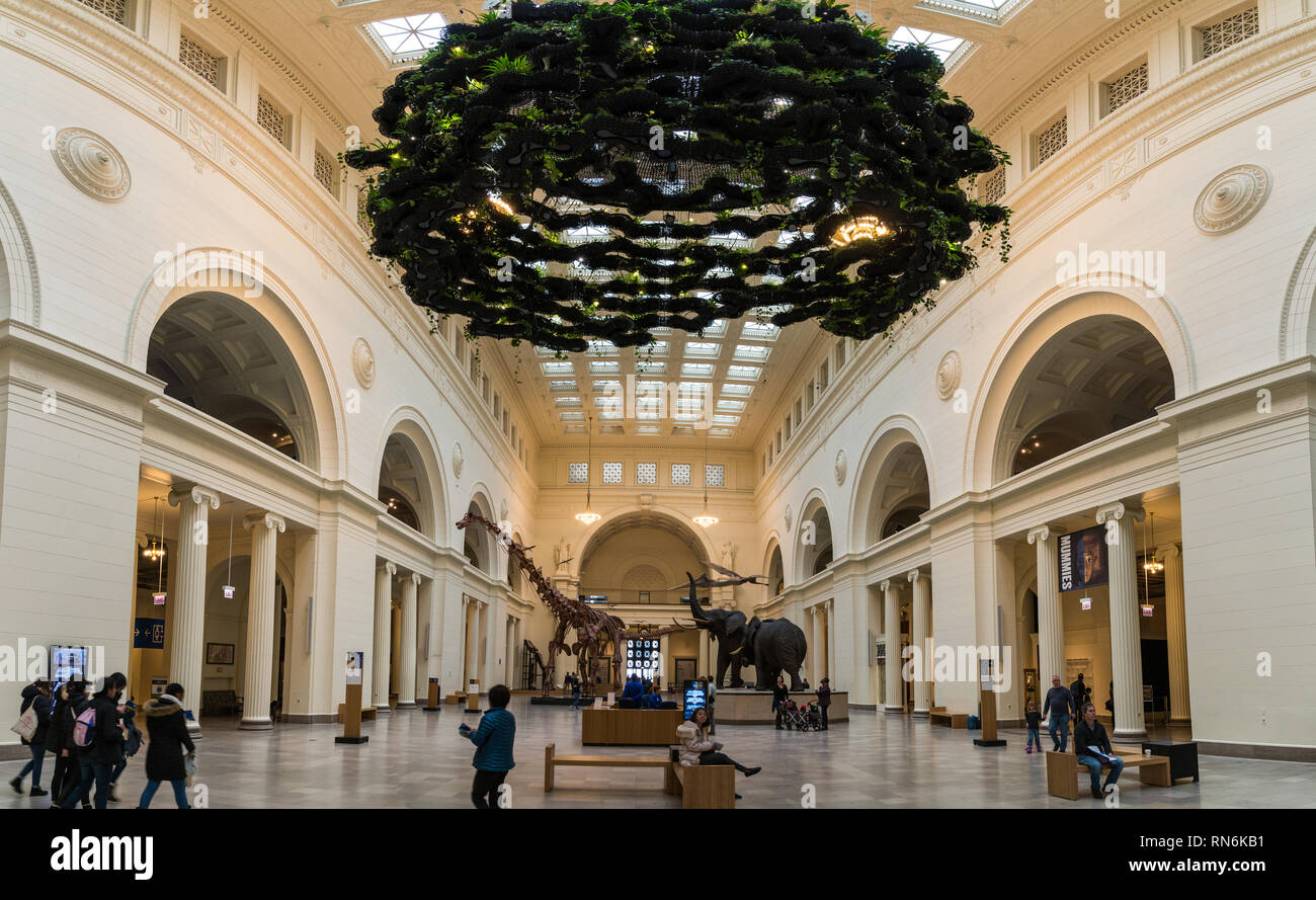 The Stanley Field Hall, at the Field Museum, Chicago, Illinois, USA ...