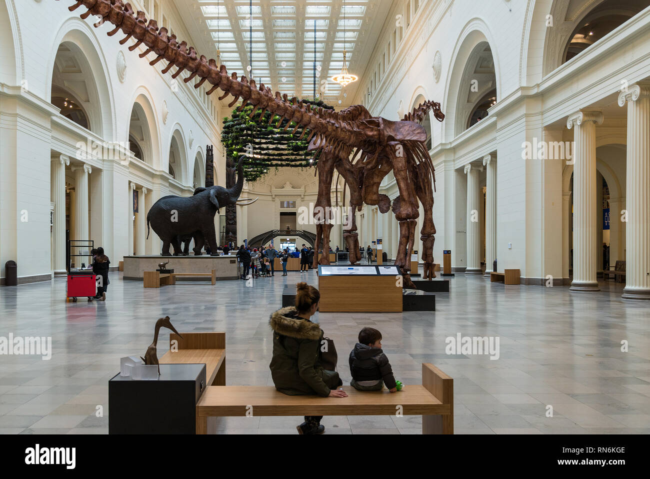 Patagotitan hi-res stock photography and images - Alamy