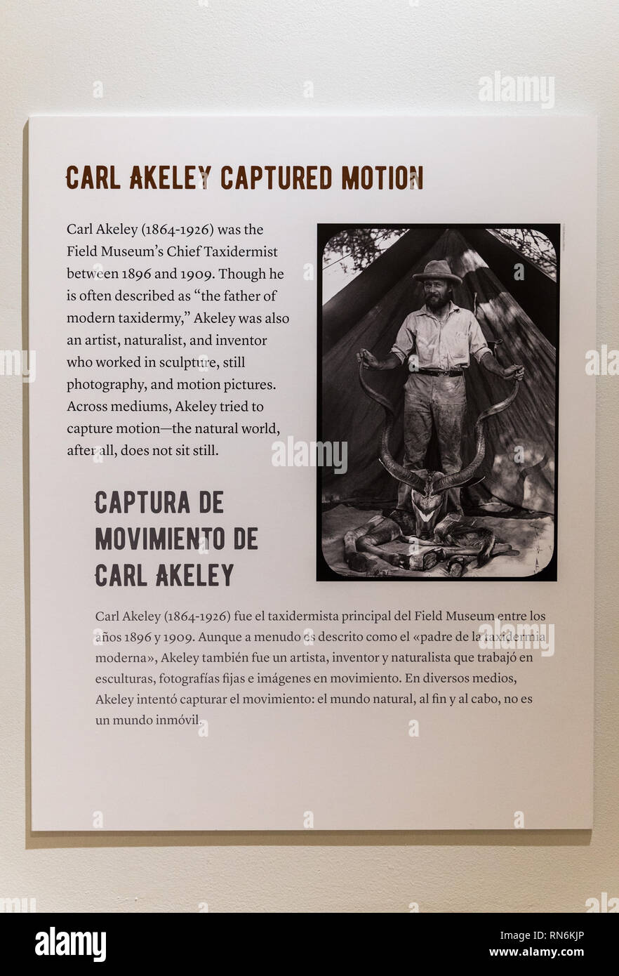 Exhibit about Carl Akeley, the taxidermist and inventor of motion ...