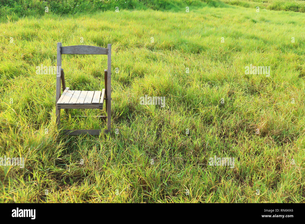 wooden chair in the green field Stock Photo - Alamy