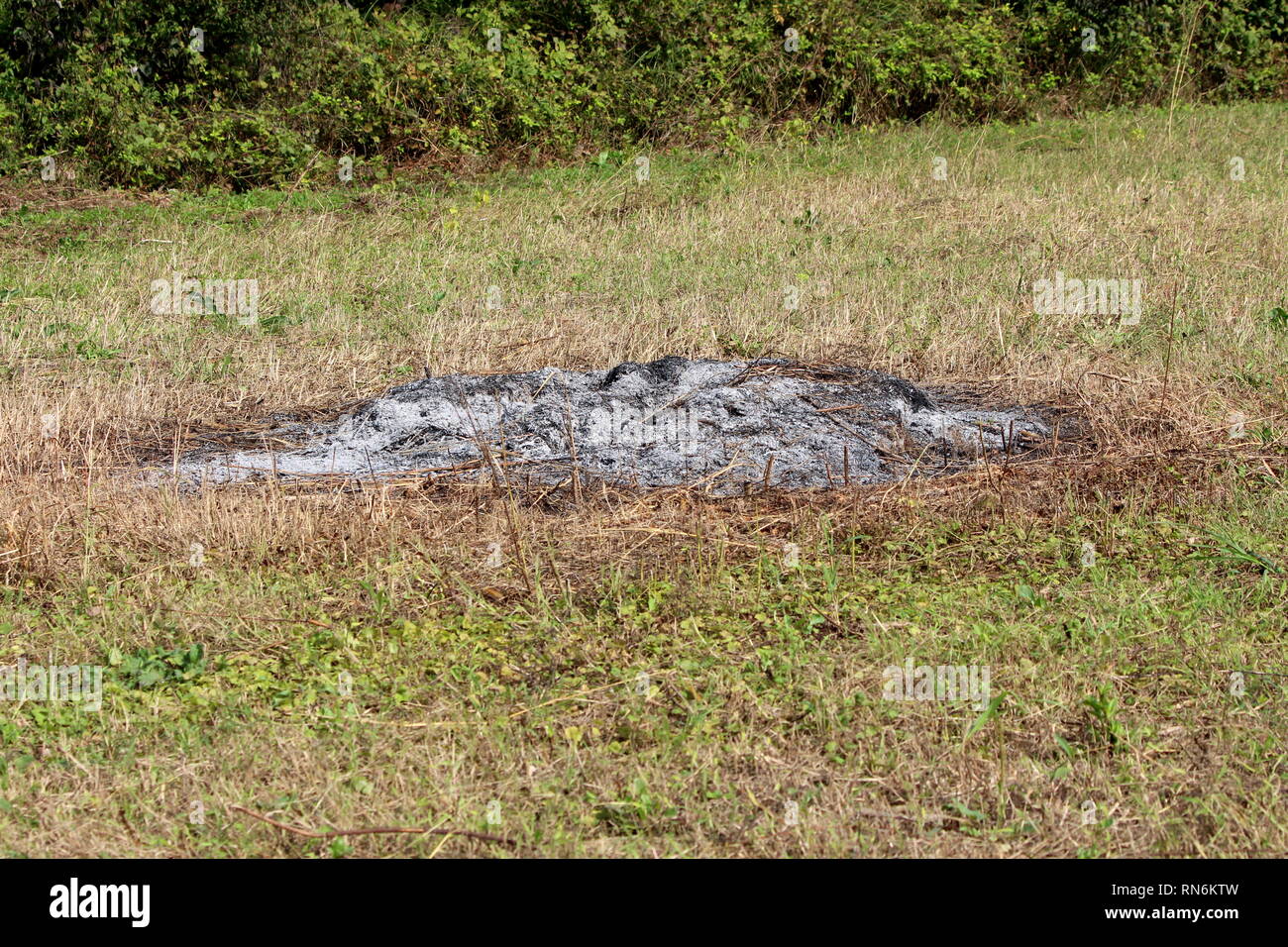 Burned grass hi-res stock photography and images - Alamy