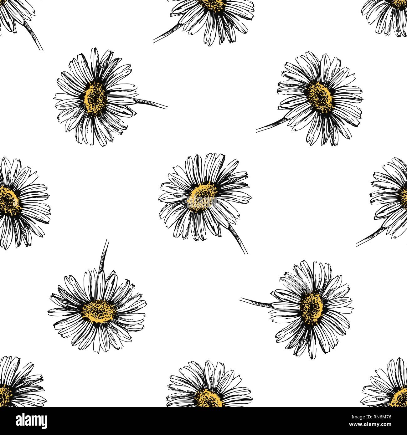 Seamless pattern of hand drawn sketch style daisies isolated on white ...