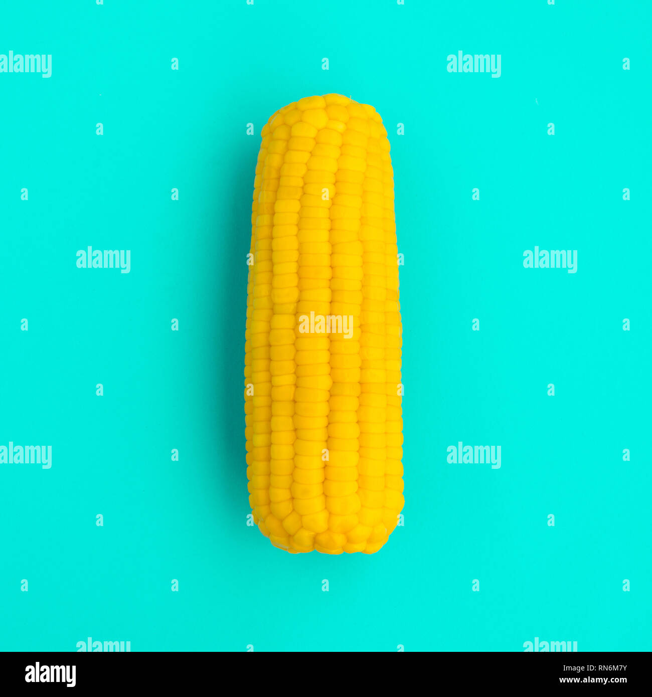 Corn on pastel color background.Food ingredient concepts ideas.Minimal ...
