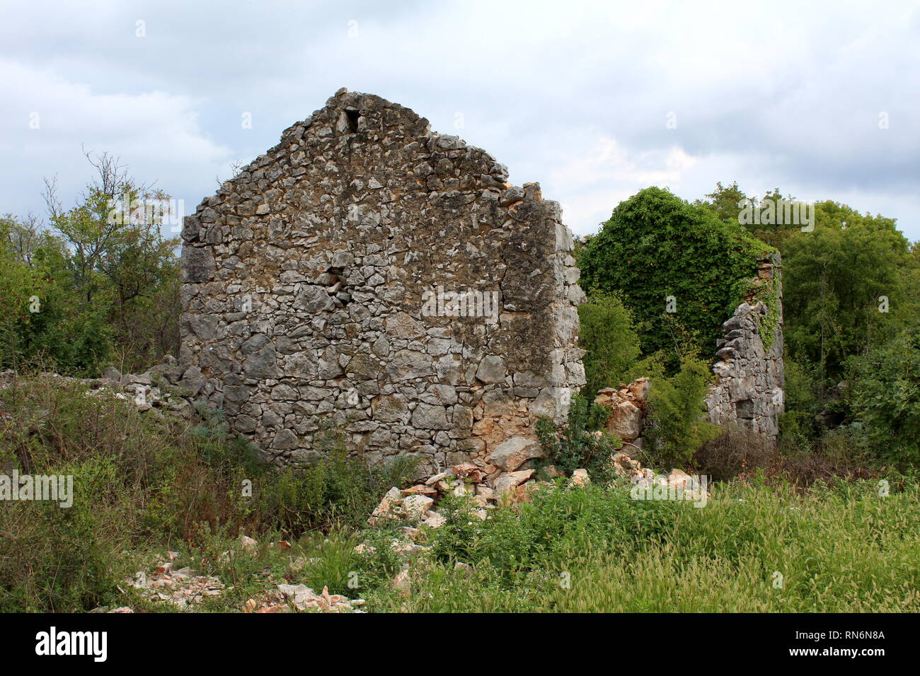 Traditional stone house ruins with missing roof partially overgrown ...