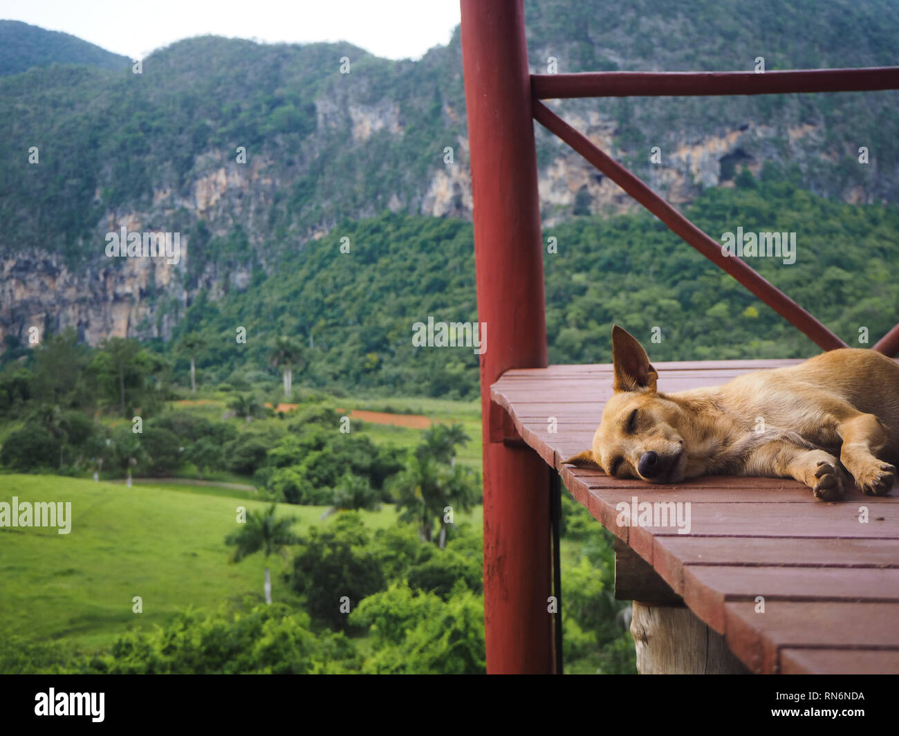 Humid heat hi-res stock photography and images - Alamy