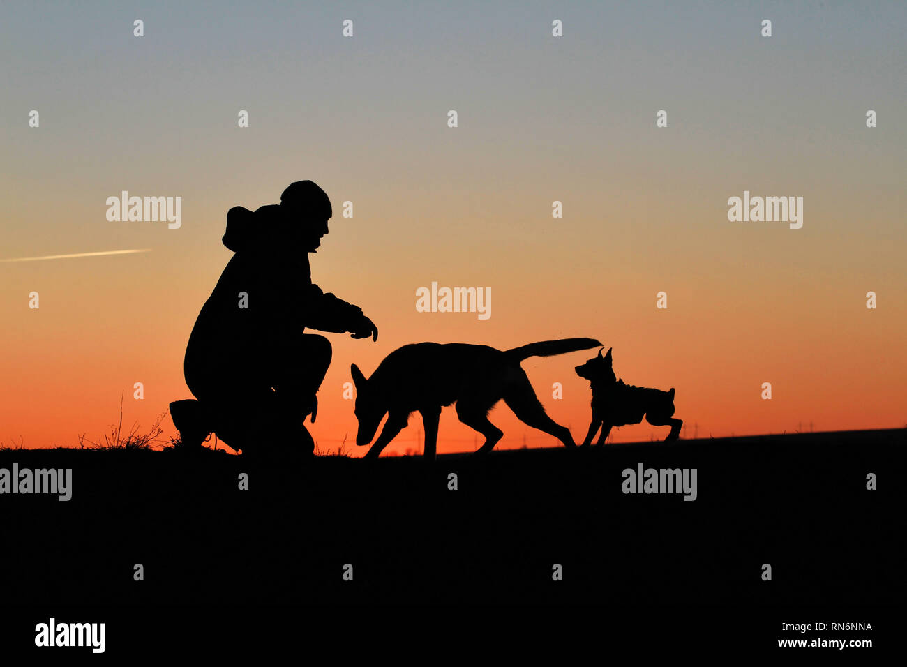 Two young men shadow background hi-res stock photography and images - Alamy