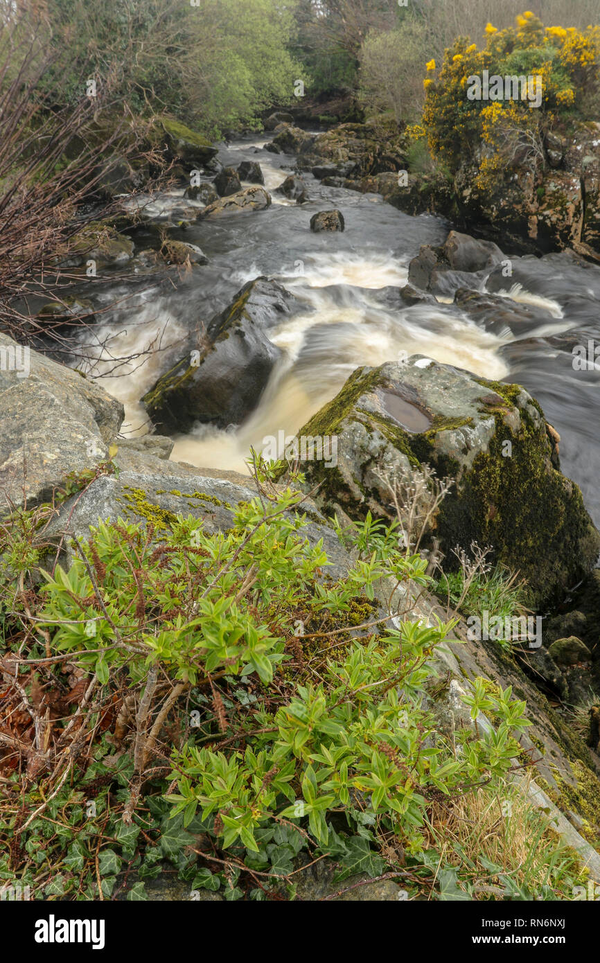 Fast running river and boulders near Adara, County Donegal, Ireland ...