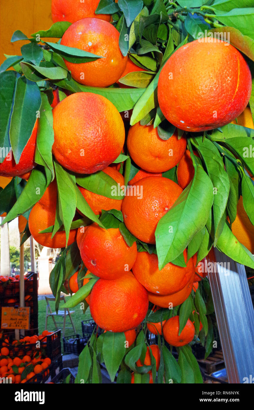 Red and orange fruits hi-res stock photography and images - Alamy