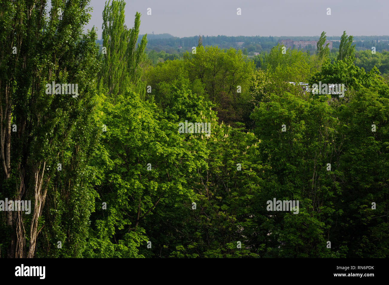 The landscape of the industrial city, green trees and mine waste heaps ...