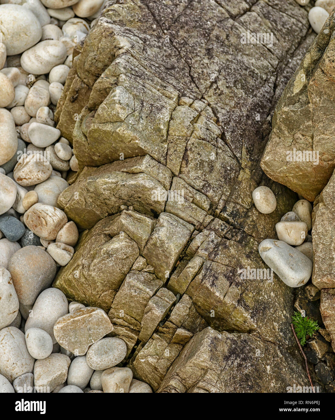 Abstract of white pebbles and dark rock on a Northern Ireland beach ...