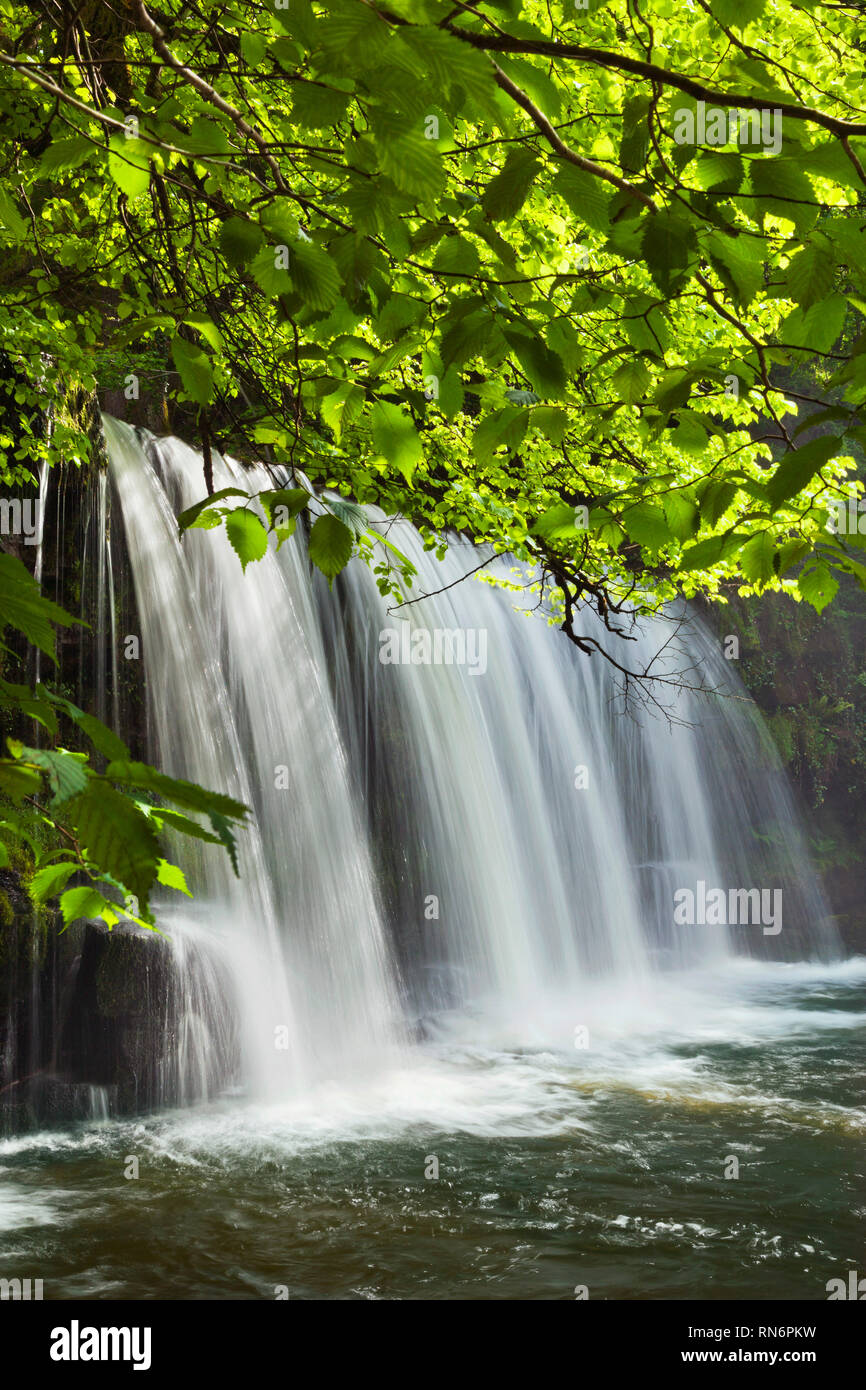 Sqwd Ddwli Waterfall, Brecon Beacons, Wales, UK Stock Photo - Alamy