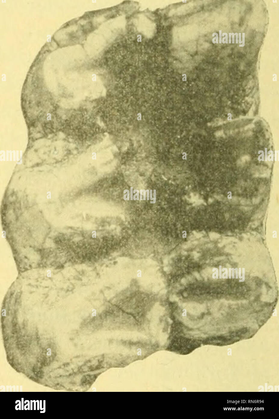 Umriss sammlung hi-res stock photography and images - Alamy