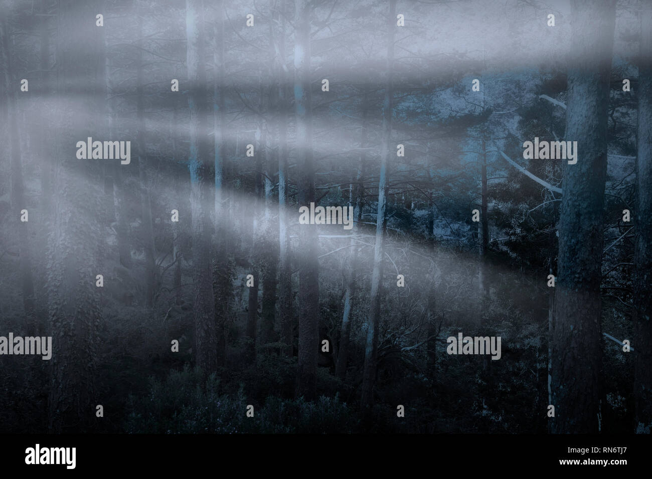 Horror moon beams hi-res stock photography and images - Alamy