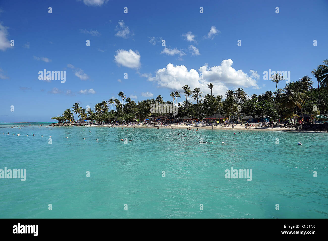 Pigeon point heritage park hi-res stock photography and images - Alamy