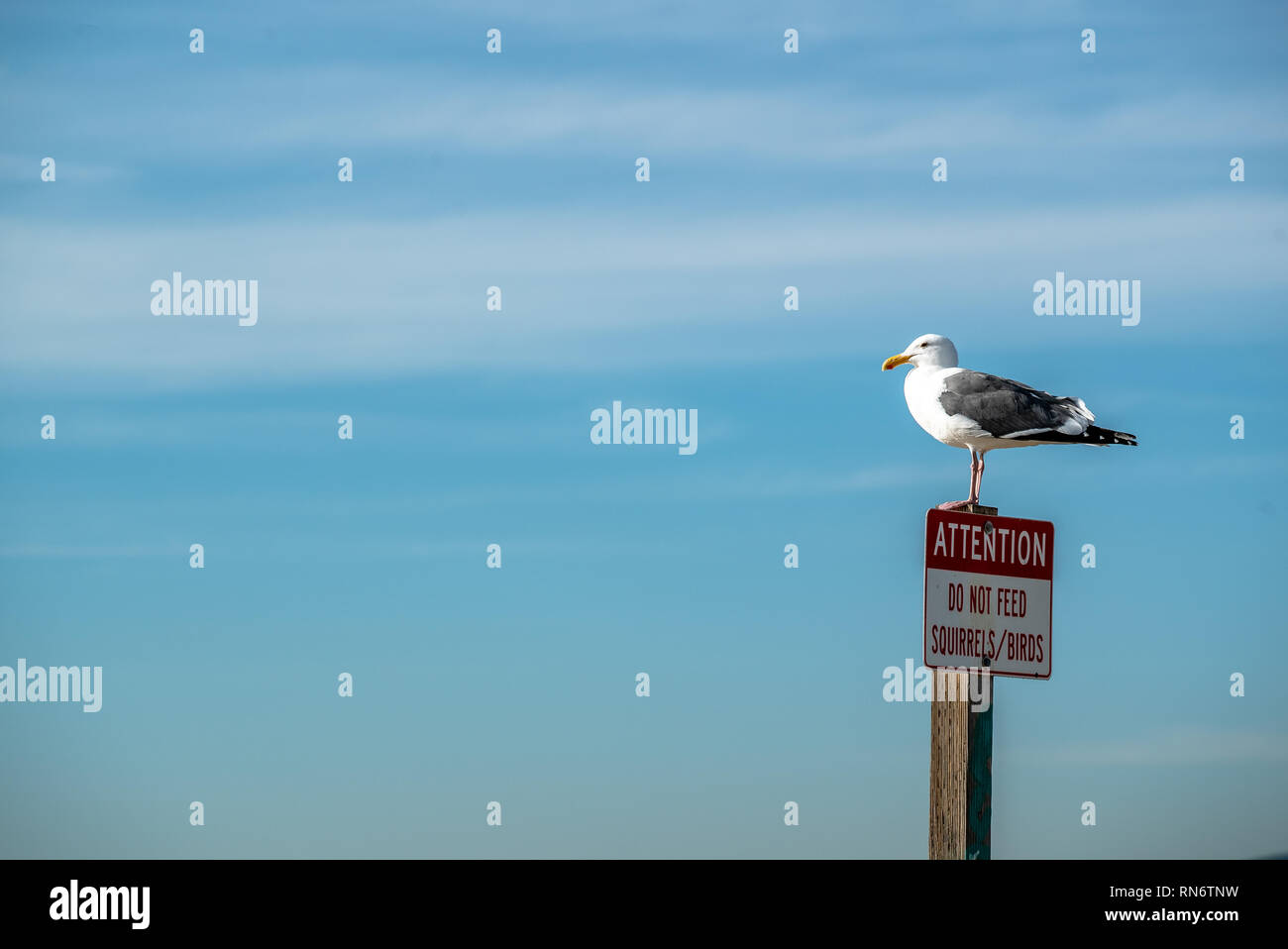 California wildlife warning sign hi-res stock photography and images ...