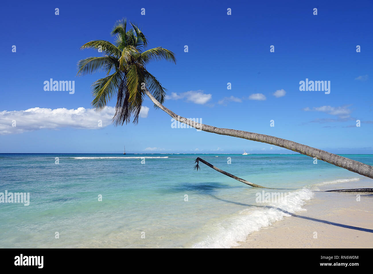 Pigeon point heritage park hi-res stock photography and images - Alamy